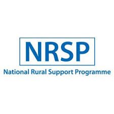 Latest National Rural Support Programme (NRSP) Jobs 2025 - jobify.pk